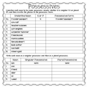Possessive Nouns Worksheets - The Colorado Classroom